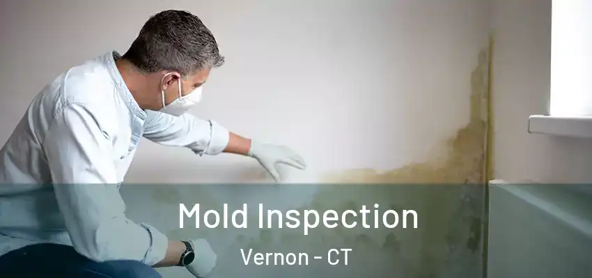 Mold Inspection & Testing Services in Vernon, CT